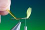 How to tie the yellow mayfly